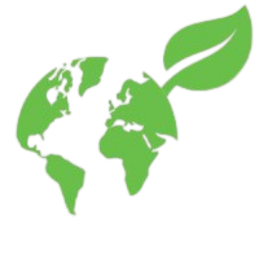 Network - Rhizome Network